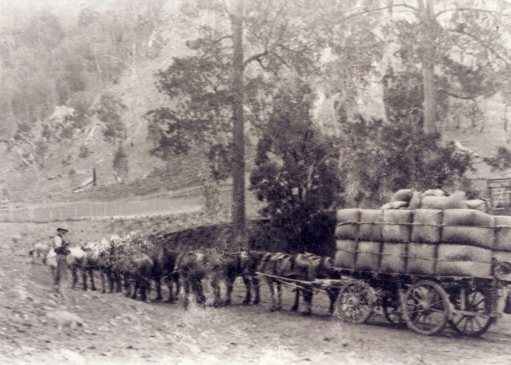 Norville Australia - Art - The Stables