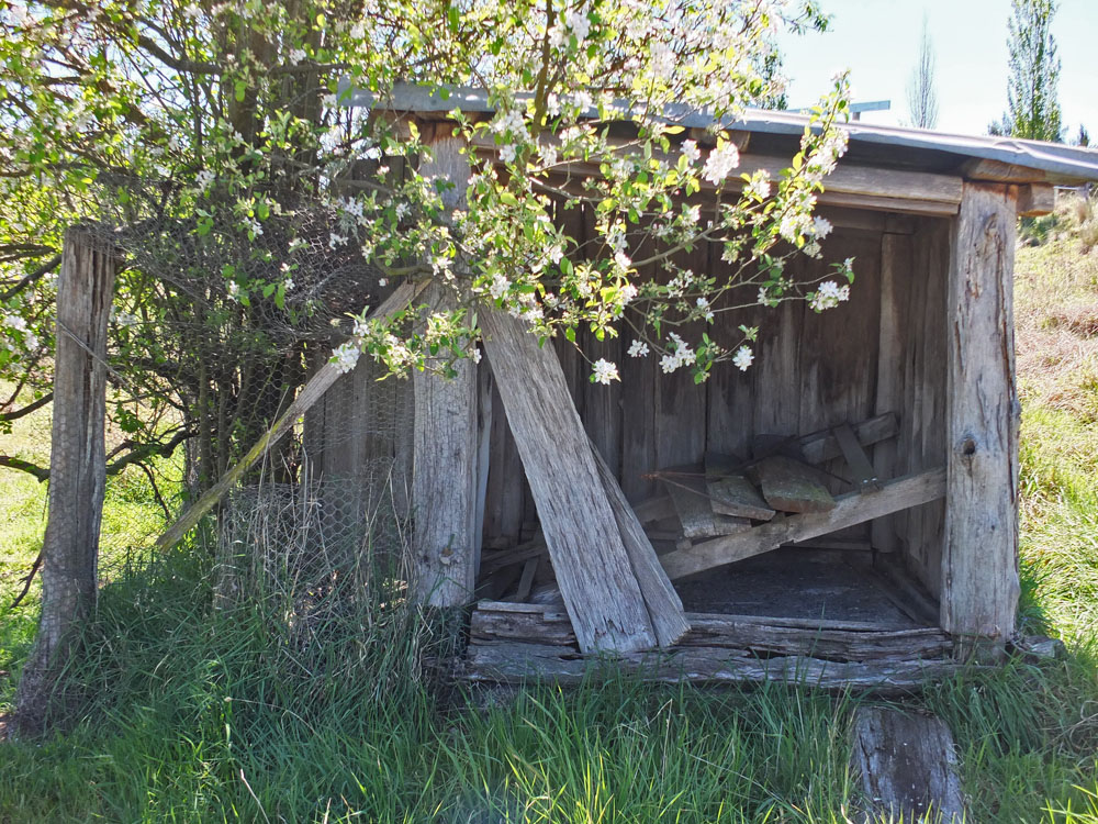 Norville Australia - Farming - Dogs