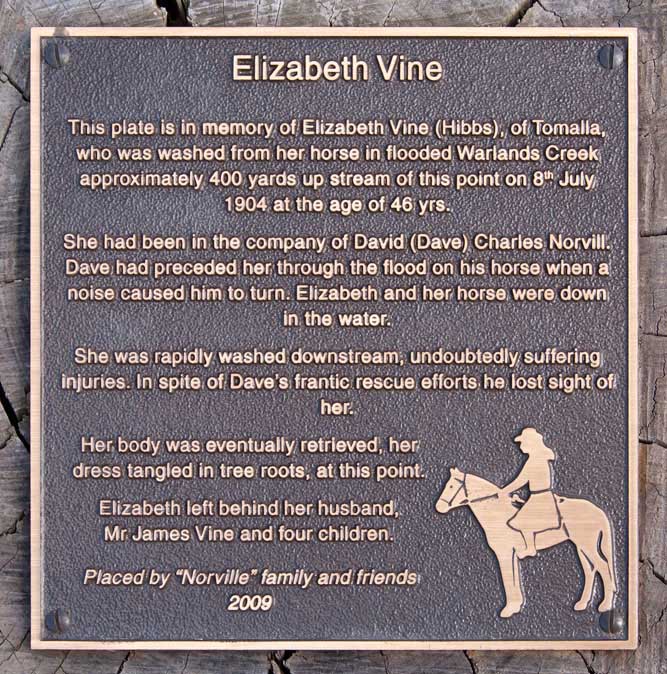 Norville Australia - HIstory - Elizabeth Vine